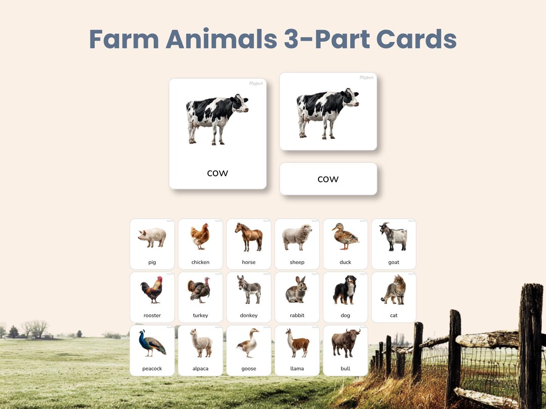Farm Animals 3-part Cards Printable, Montessori Nomenclature Cards ...