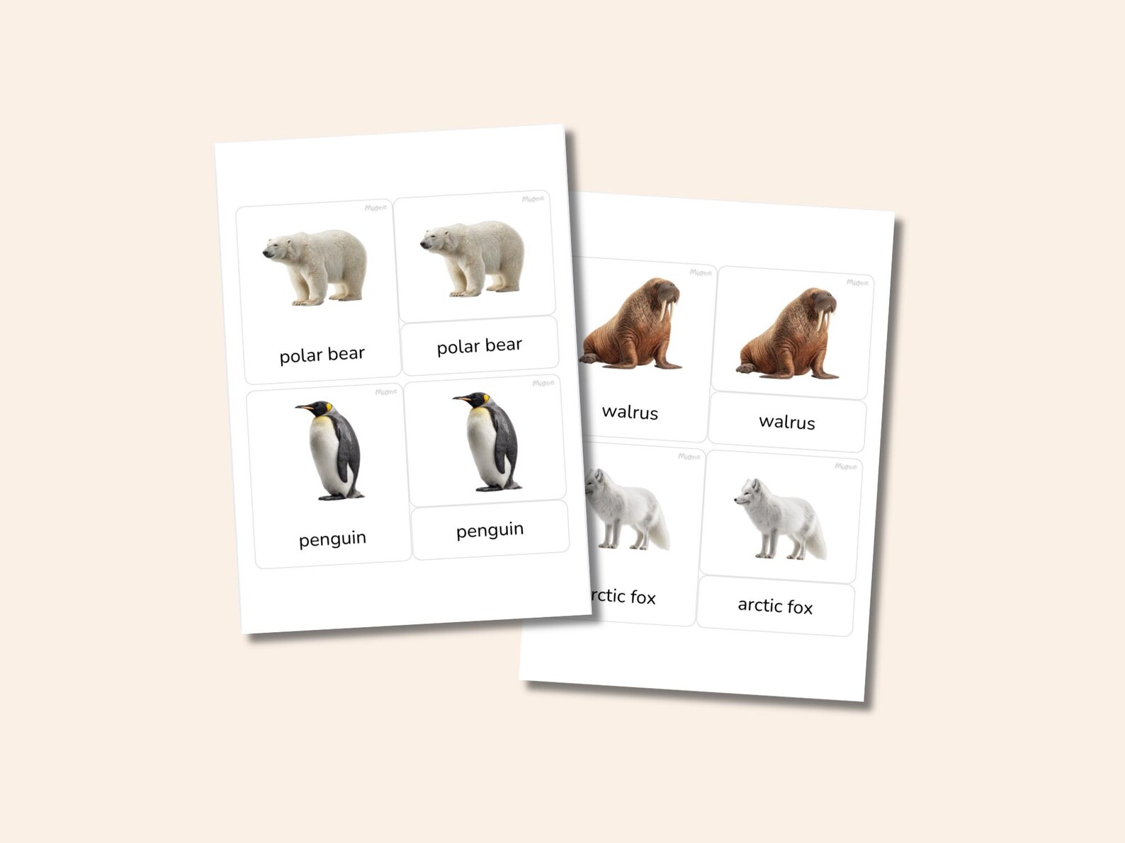 Polar Animals 3-part Cards Printable, Montessori Nomenclature Cards ...
