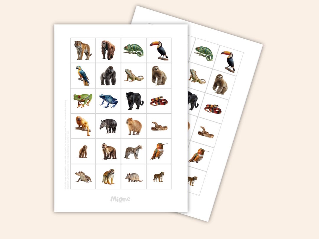 Jungle Animals Memory Game Printable | Rainforest Animal Matching Cards ...