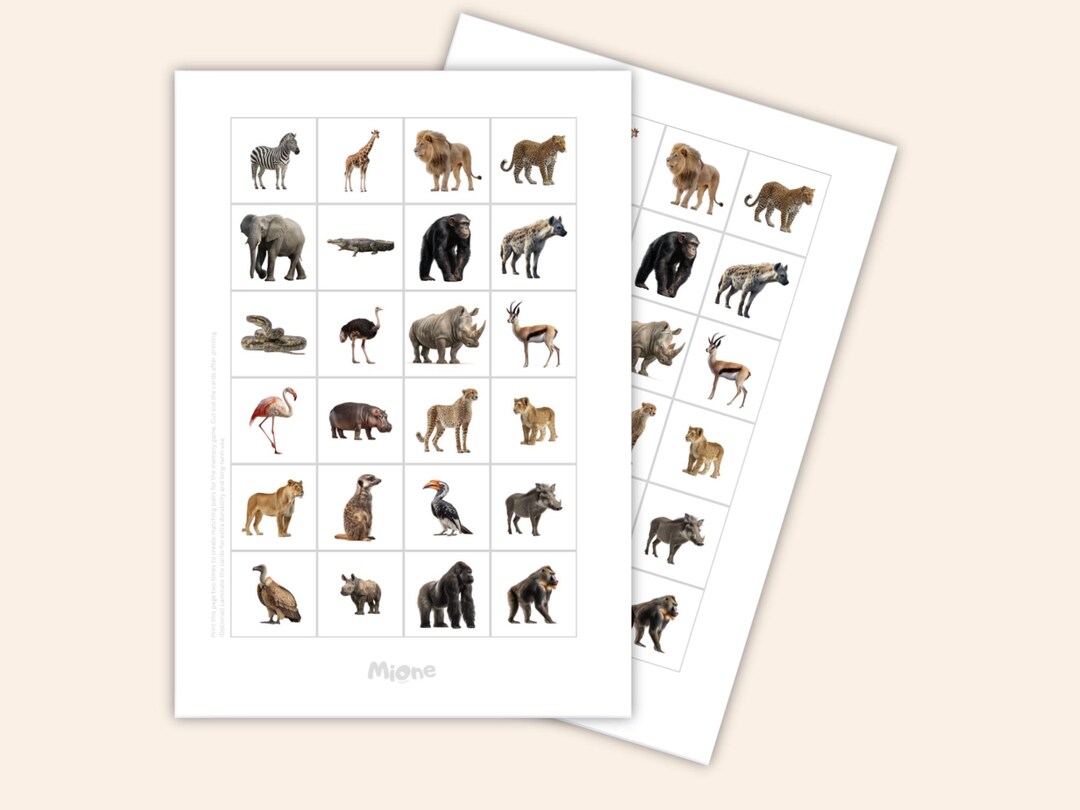 Safari Animals Memory Game Printable | African Animal Matching Cards ...