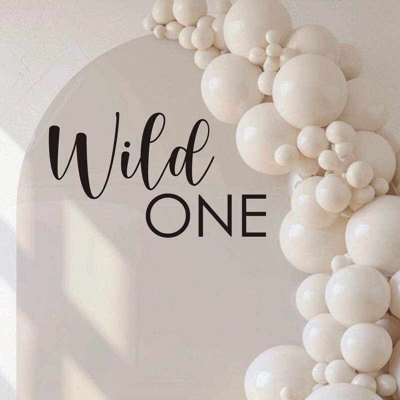 Wild One Backdrop - Etsy