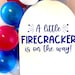 Firecracker Baby Shower Decal: July 4th Sign Making, Independence Day ...
