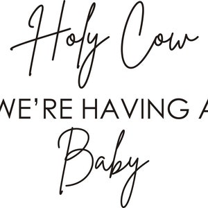 Holy Cow We're Having a Baby Decal for Baby Shower Cow Themed Baby Shower Vinyl Decal for ...