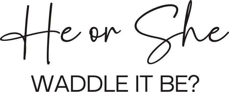 He or She Waddle It Be Decal - Gender Reveal Vinyl for Backdrop - Boy ...