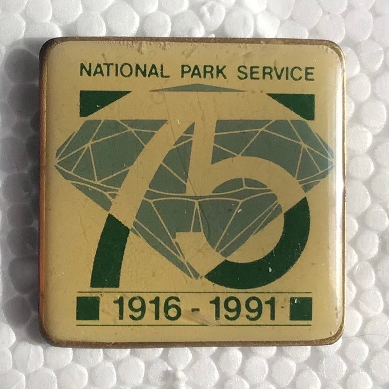 National Park Pin - Etsy