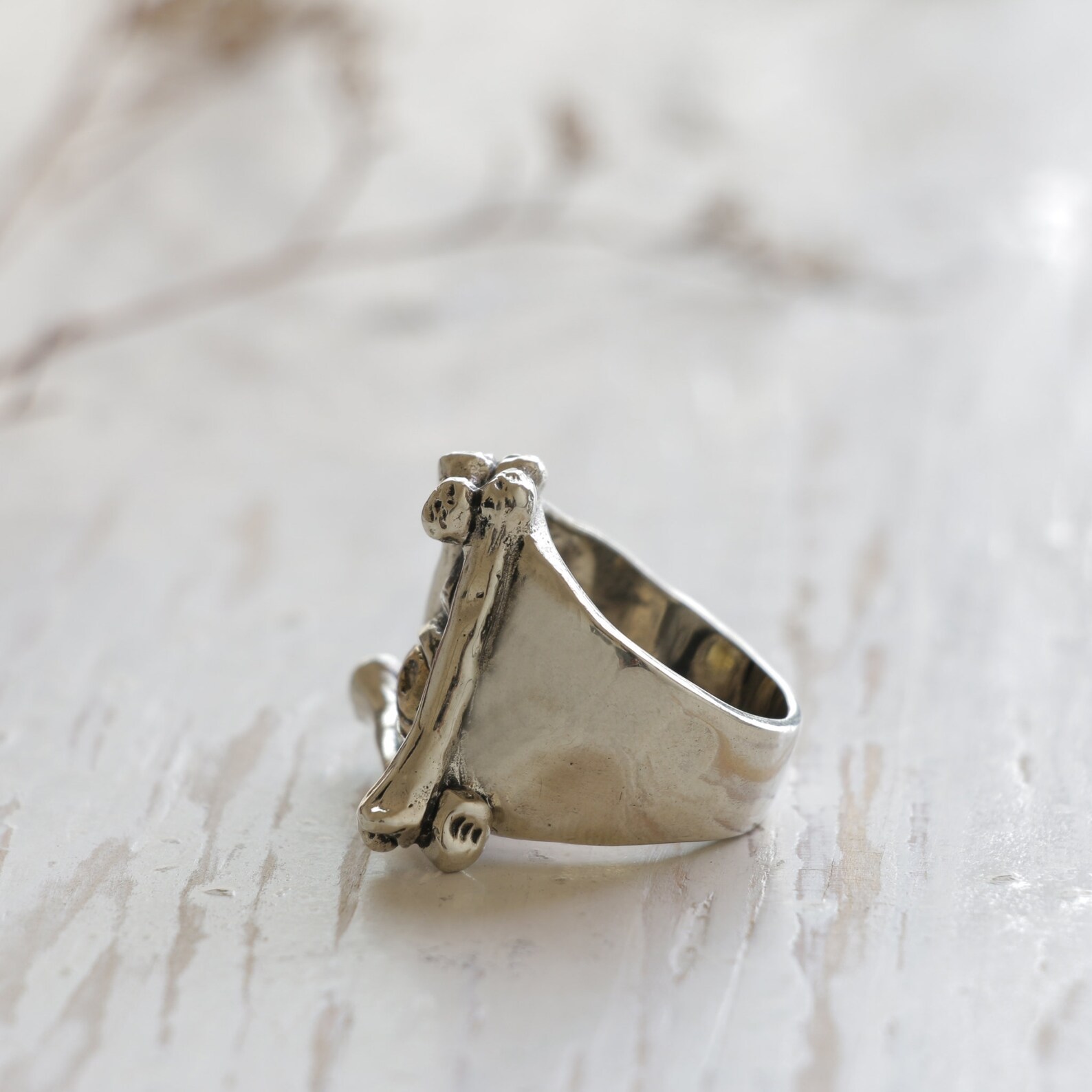 Illuminati Bone Ring for Men Made of Sterling Silver 925 Brass | Etsy