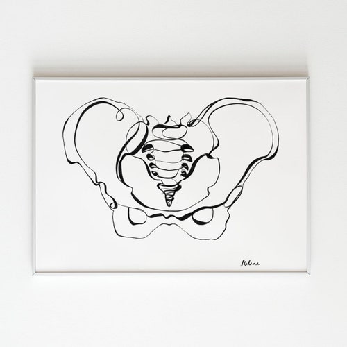 Pelvis Printable Updated Pelvic Bone Line Art Anatomy - Etsy