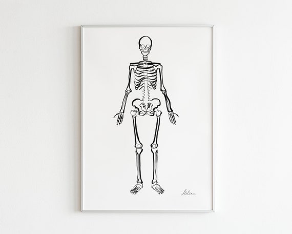 Girl Skeleton Sketch