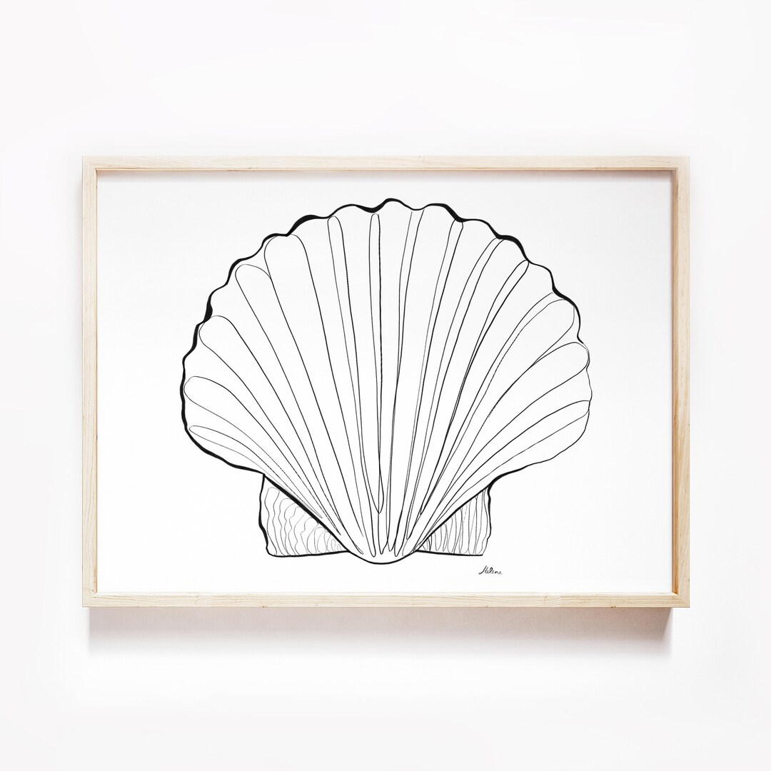 Clam Shell Print, Shell Line Art, Clam Shell Poster, Zoology Gift ...