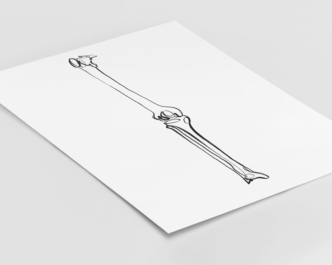 Patella, Femur Print, Anatomical Line Art, Clinical Decor, Osteopathy ...