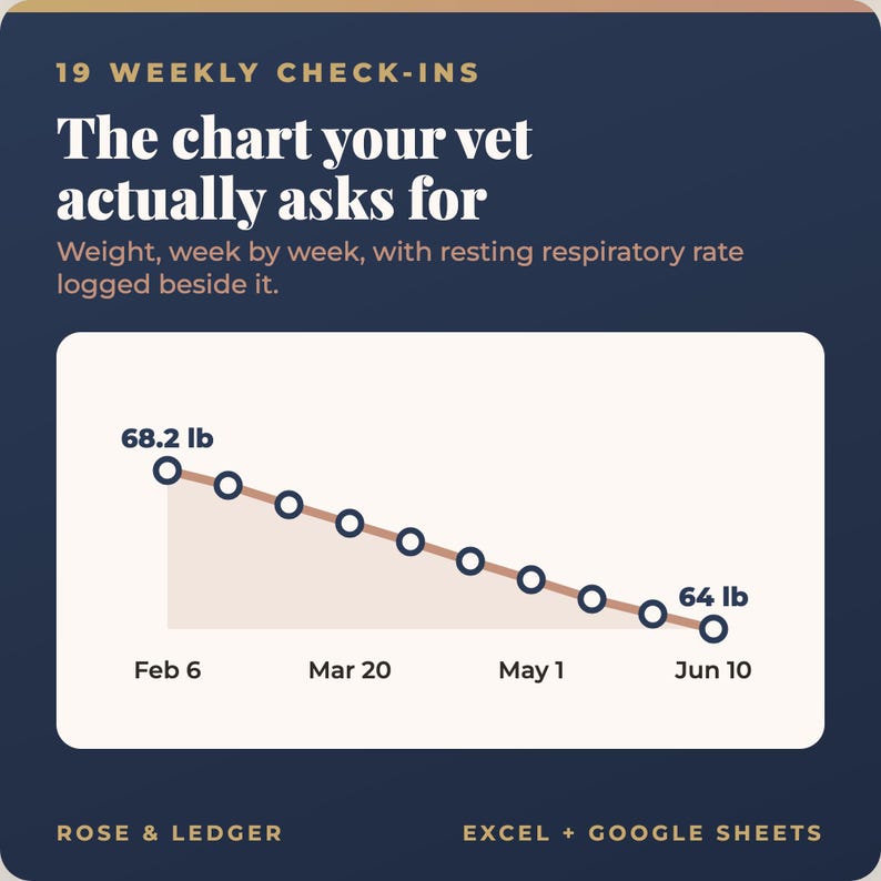 Senior Dog Care Log Medication and Health Tracker | Excel and Google ...