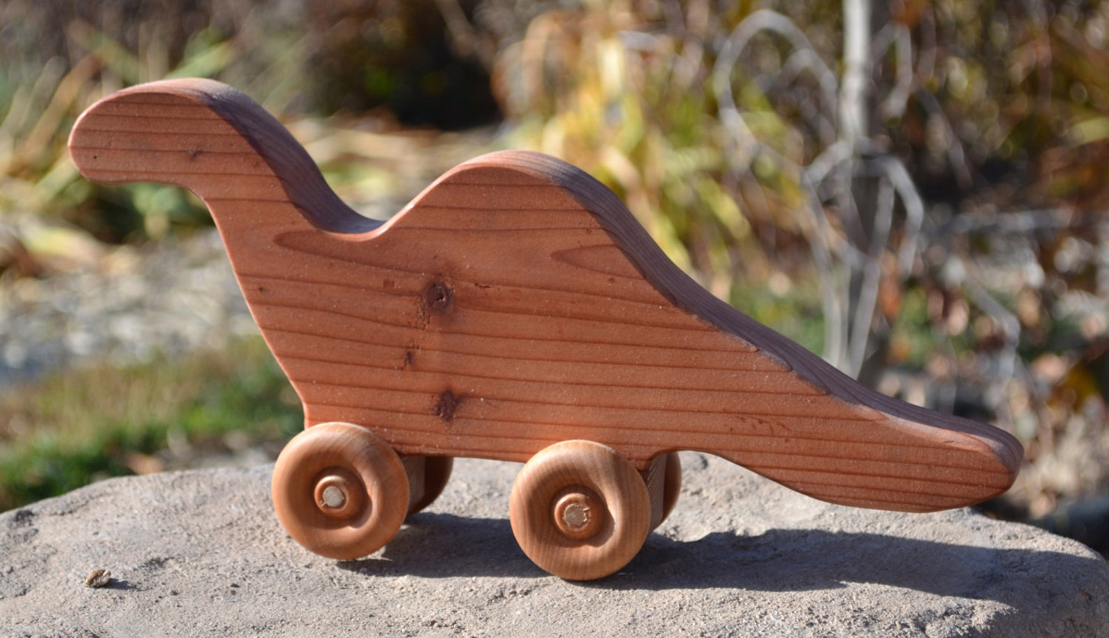 Apatosaurus Brontosaurus Redwood Push Toy Handmade - Etsy