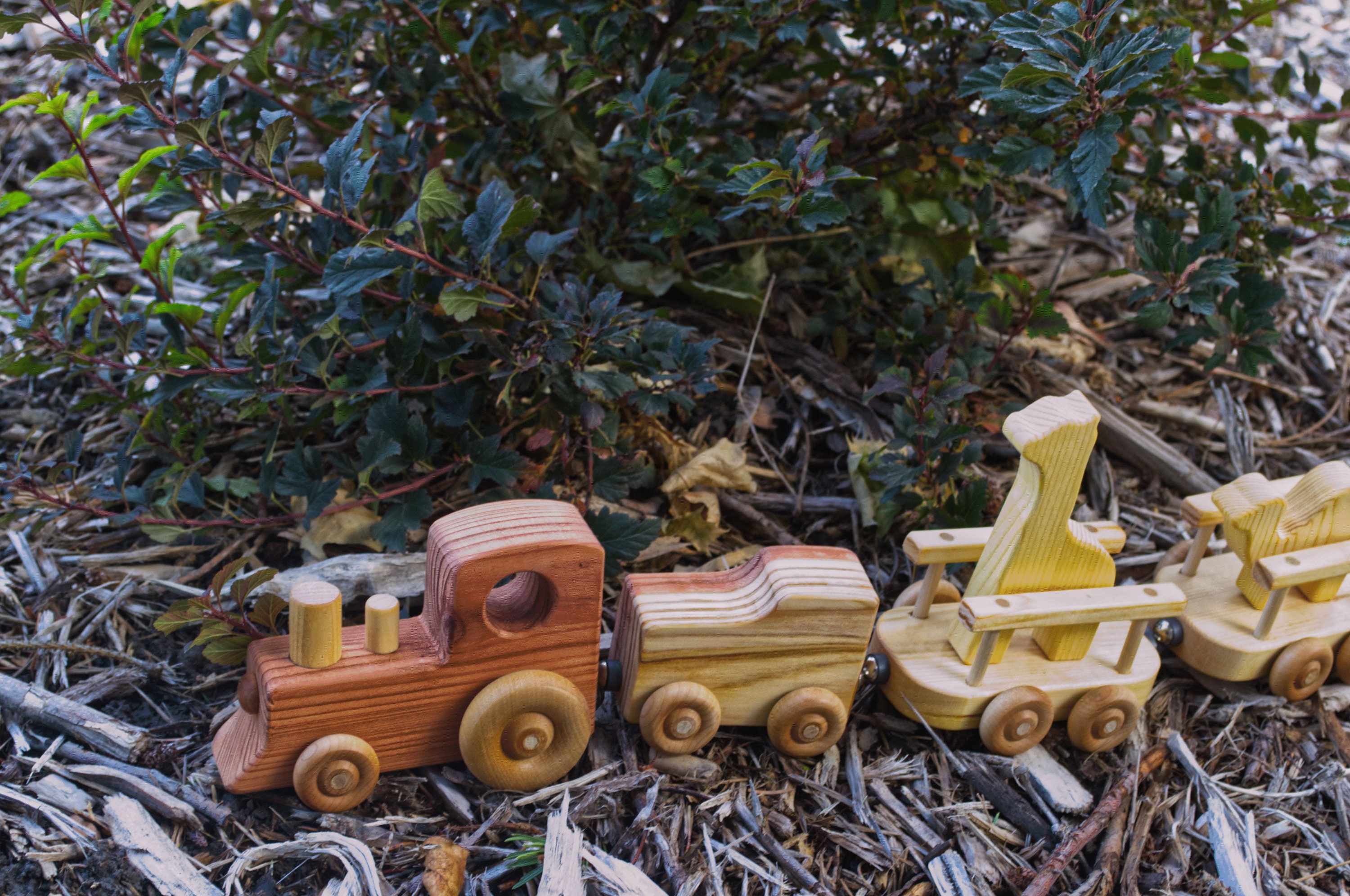 Circus Train With Giraffe Elephant Camel Zoo Train | Etsy