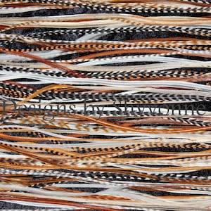 10 Xlong Loose Feathers 13-16”+ (33-41cm) Premium Natural Hair Feathers ...