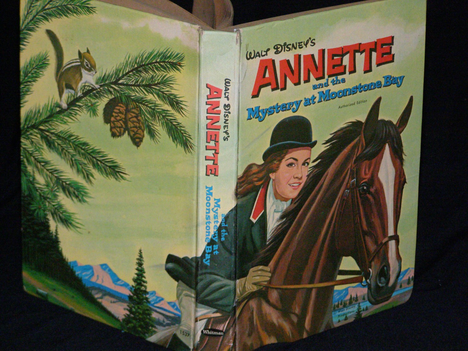 Walt Disney's ANNETTE funicello and the Mystery at Moonstone Baywalt ...