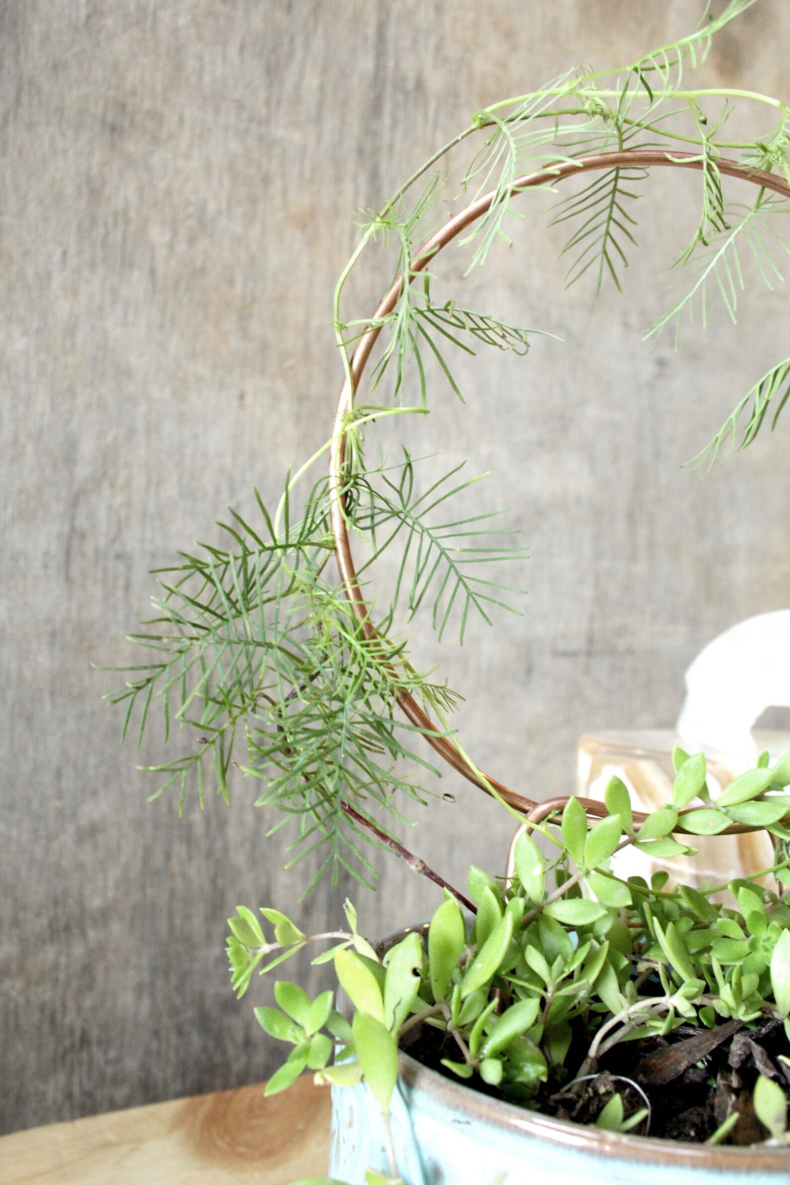 Copper Plant Trellis Houseplant Support Wire Stake - Etsy