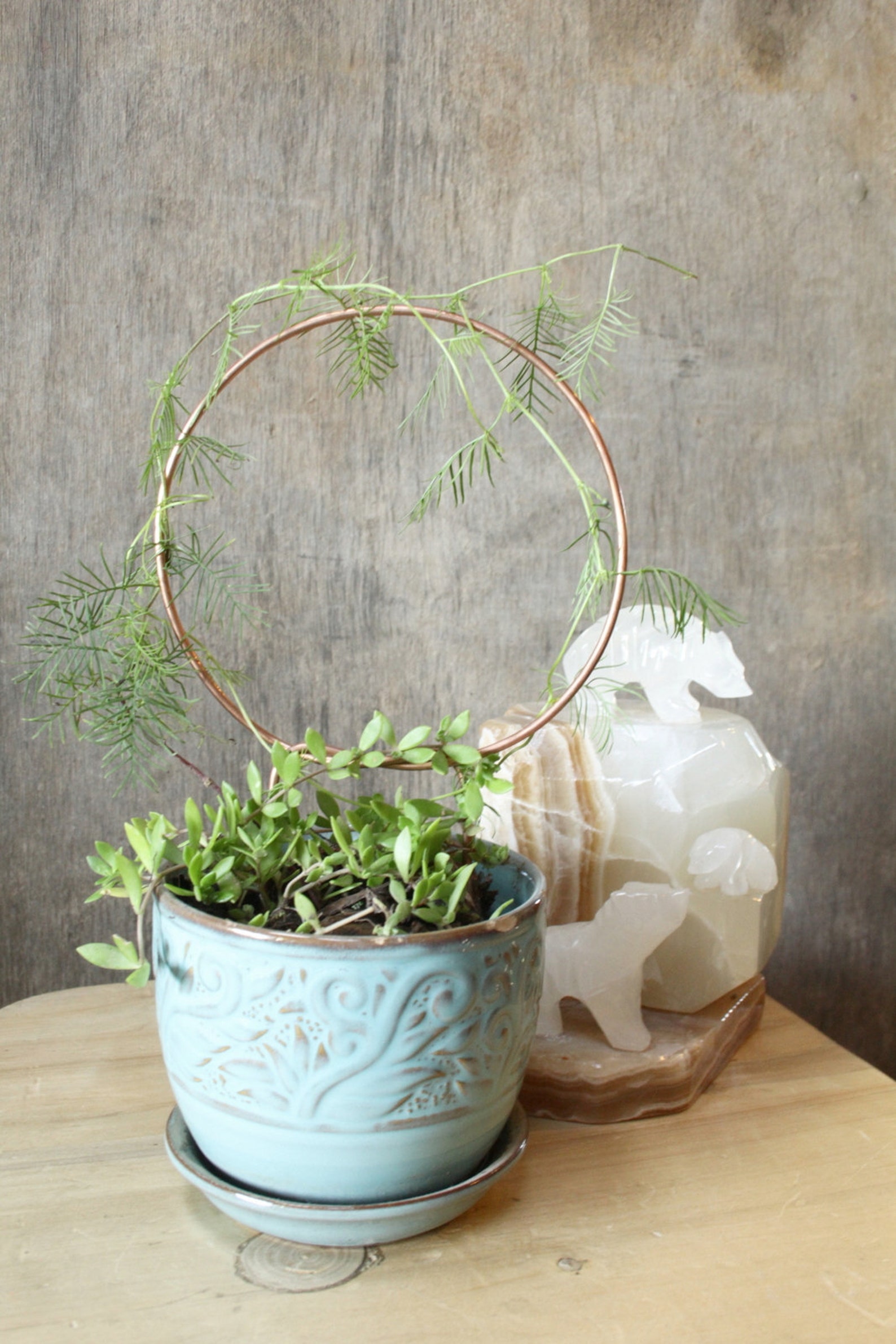 Copper Plant Trellis Houseplant Support Wire Stake - Etsy