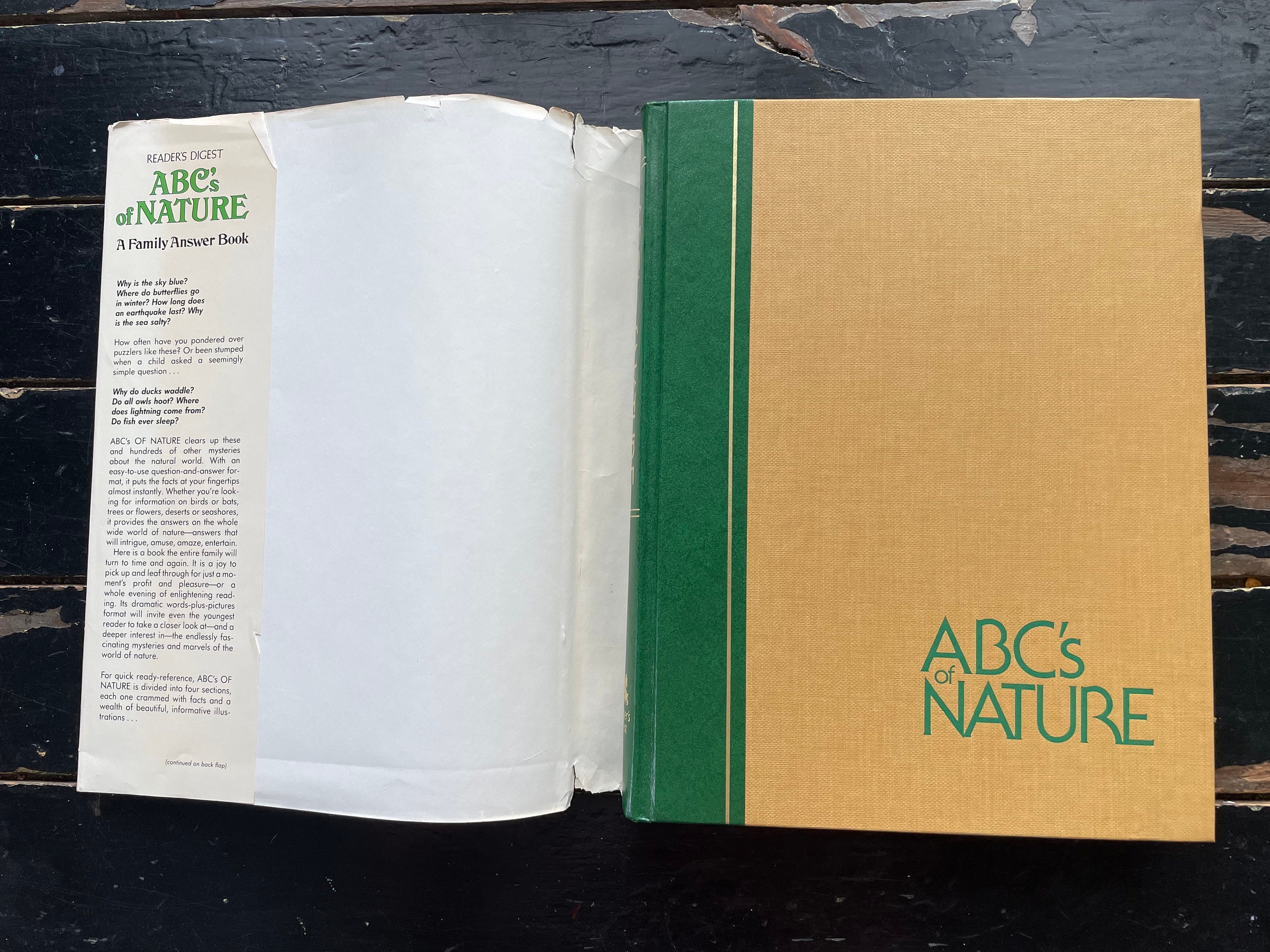 Vintage Abcs of Nature Book - Etsy