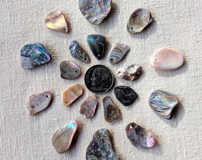 Genuine Beach Sea Abalone Shell Pieces | 19 Drilled Abalone Shell ...