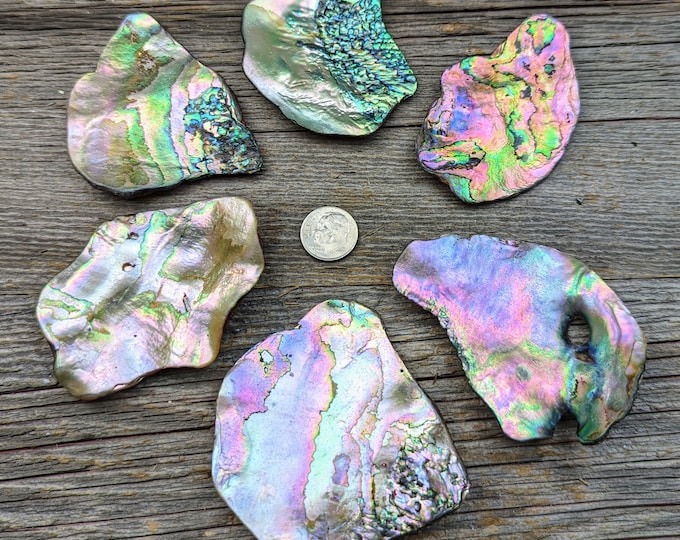 Genuine Beach Sea Abalone Shell Pieces Gorgeous Abalone for Jewelry Art ...