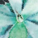 Blue Glow Agave 3, Succulent Wall Decor, Watercolor, Succulent Painting ...