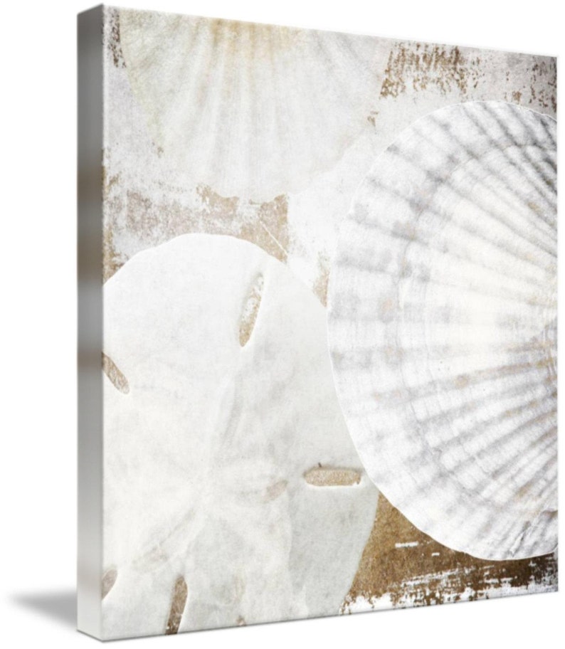 White Shells. Shabby Chic Cottage Chic Beach Rustic Shells - Etsy