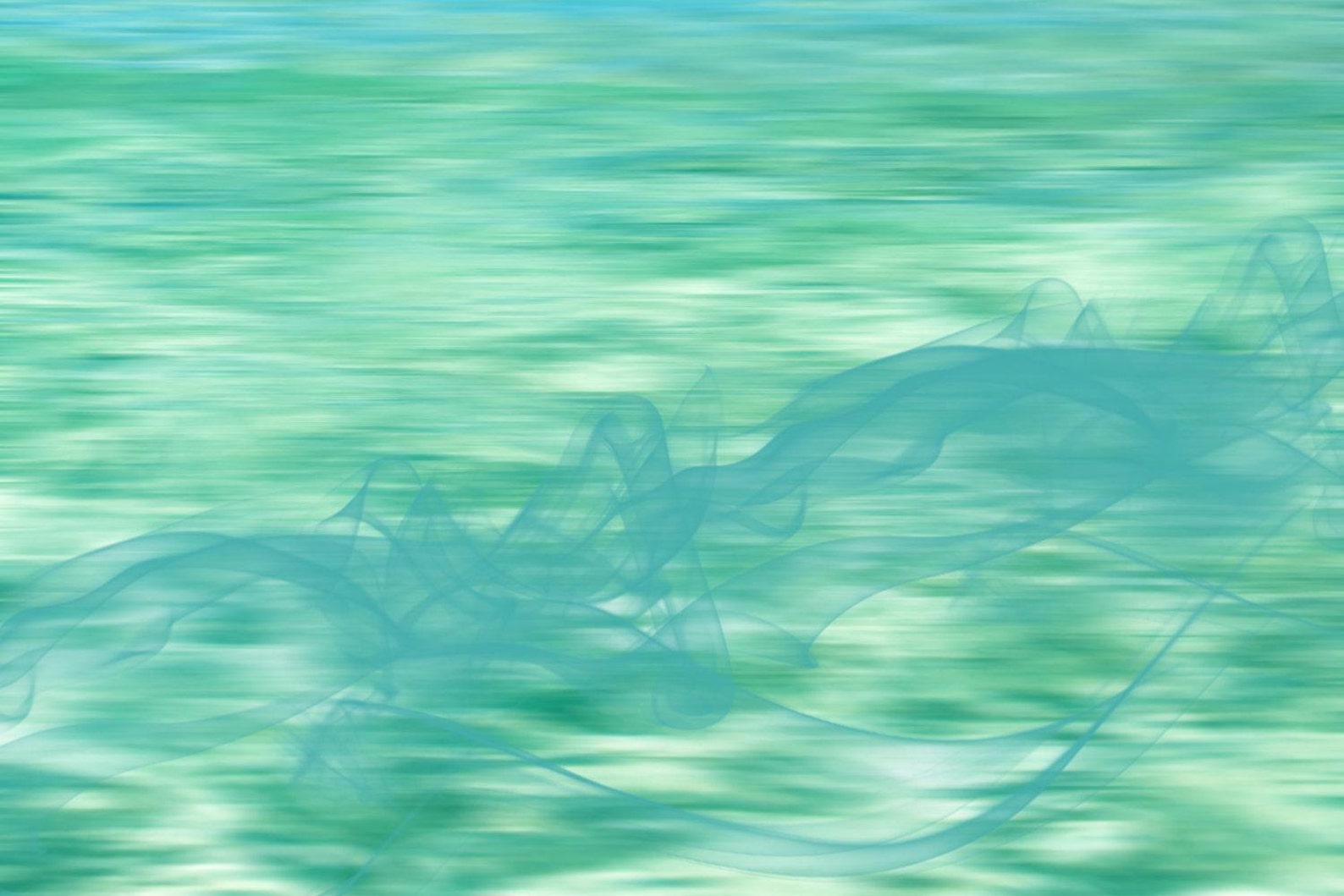 The Smell of the Ocean. Original Photo Print Under Acrylic | Etsy