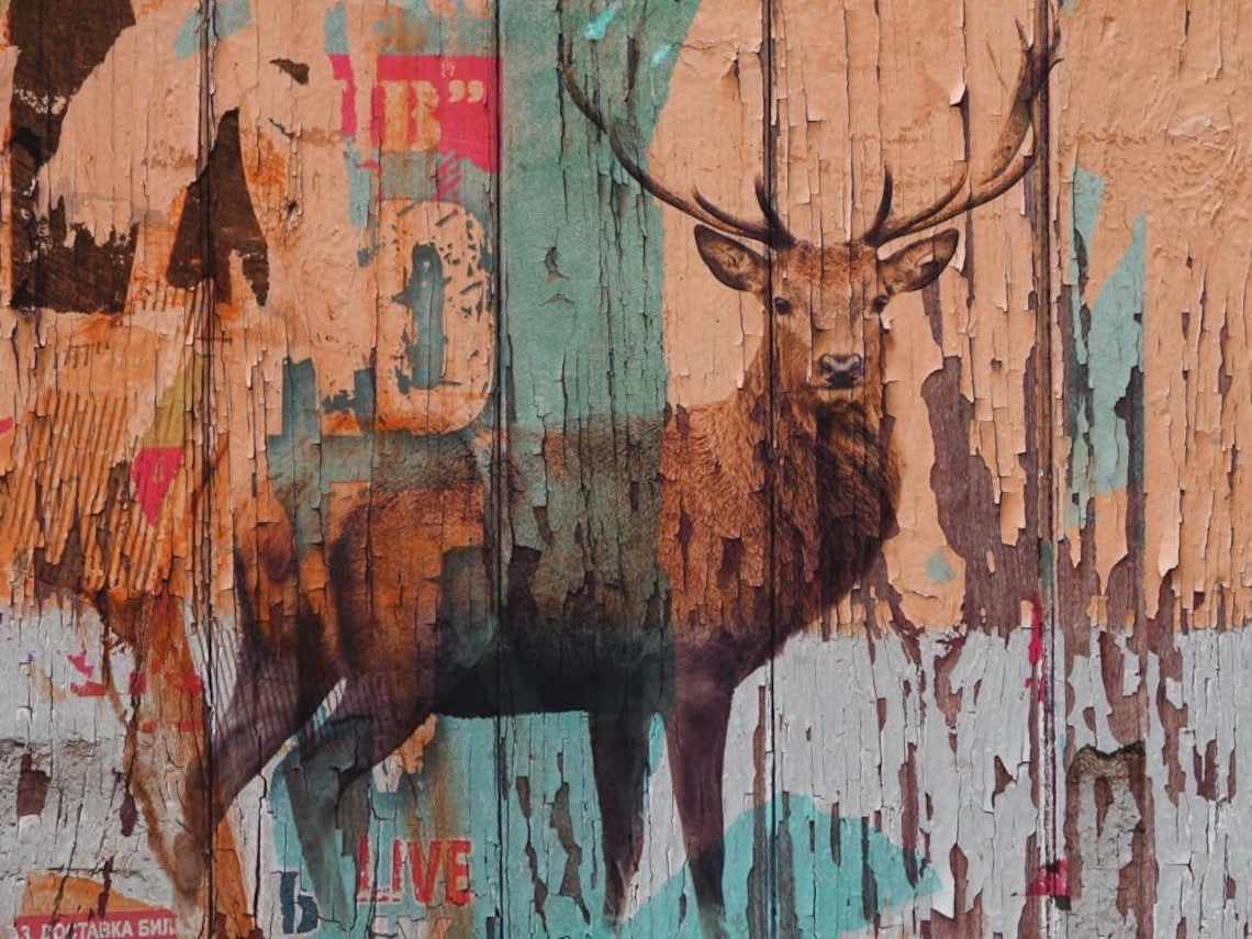 Deer. Extra Large Rustic Animal Canvas Art Print up to | Etsy