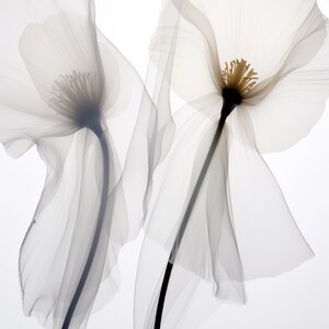 Floral Wall Art-xray Image. Floral Painting Modern, Translucent White ...