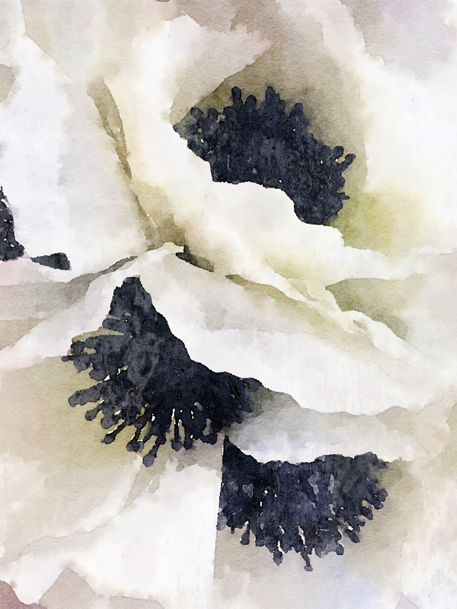 Black and White TRIPTYCH -set of 3 - Watercolor Floral Painting Canvas ...