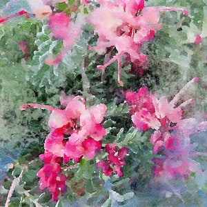 Bright Floral PINK Bloom, Floral Painting, Pink Art, Floral Art, Shabby ...