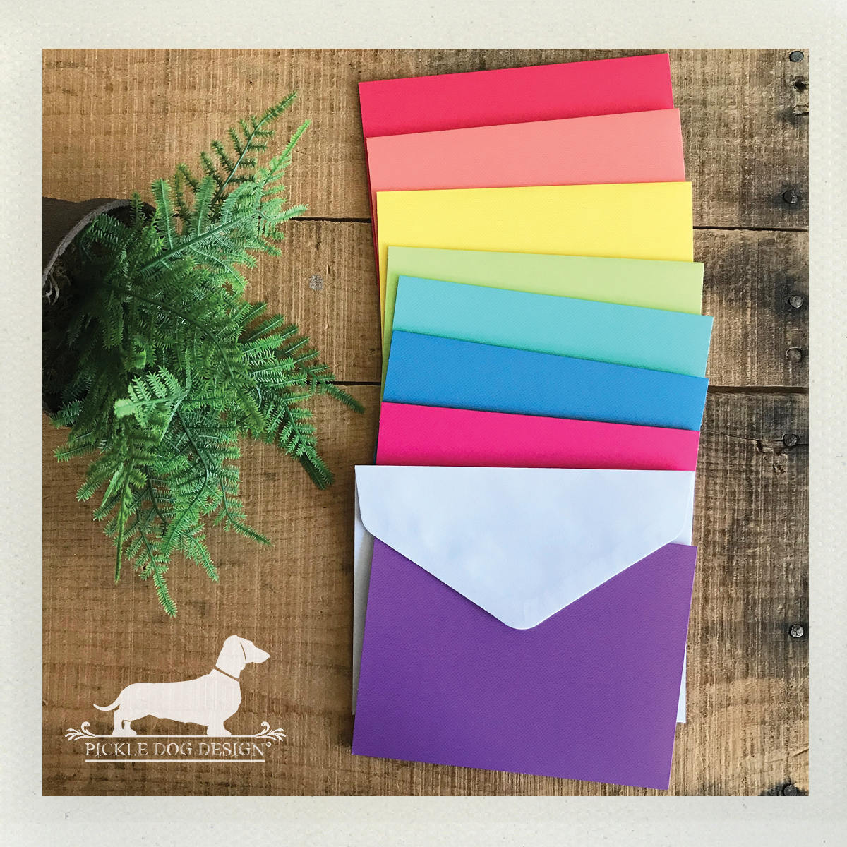 DOLLAR DEAL! Rainbow. Note Cards (Set of 8)