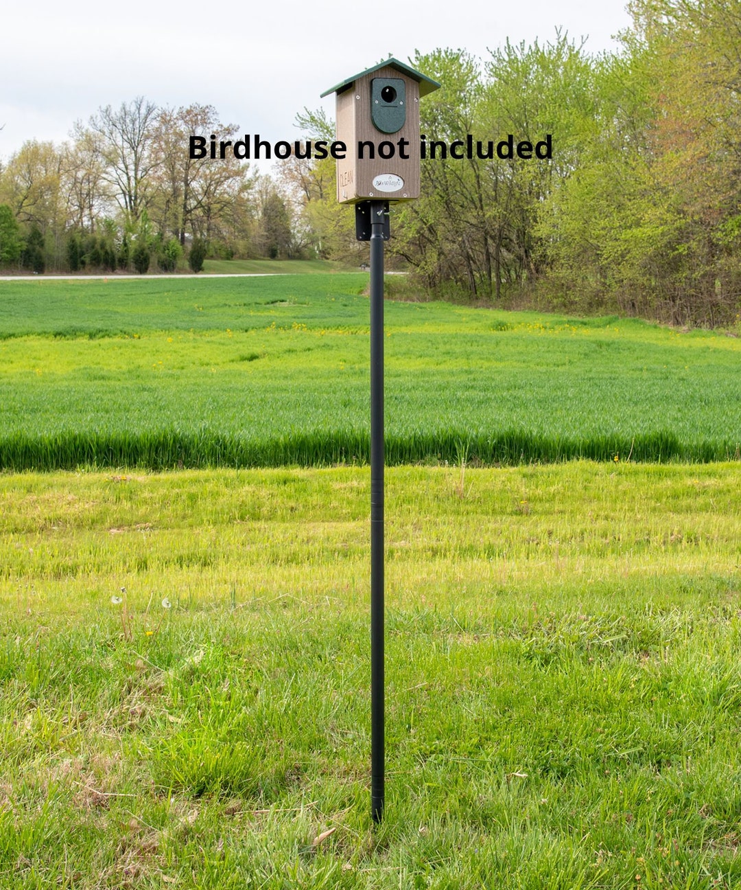 Universal Mounting Pole Kit: Rust-resistant Bird House & Feeder Post - Etsy