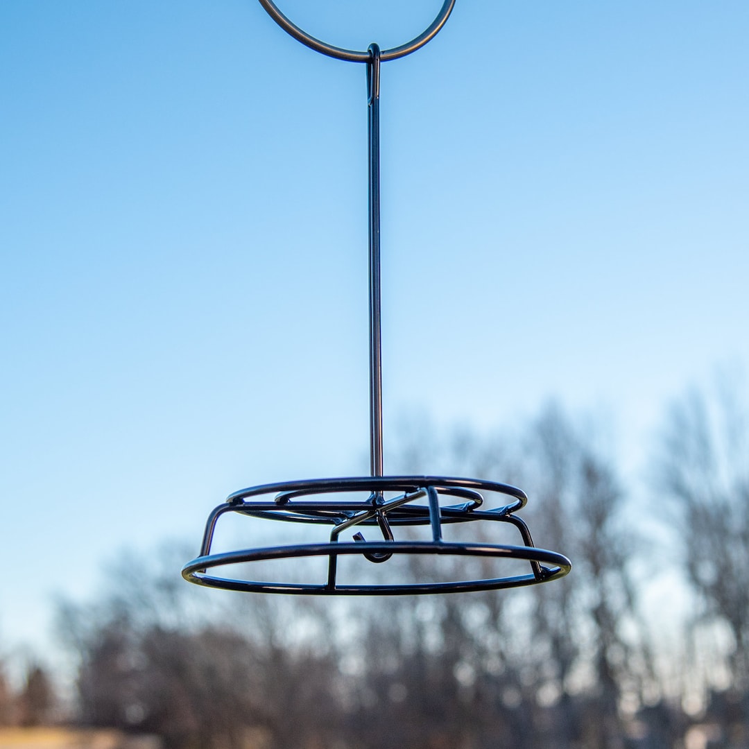 JCS Wildlife Seed/suet Cylinder Bird Feeder: Durable Metal Construction ...