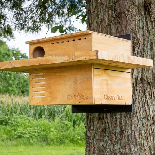 Owl Nesting Box Made of Cedar - Etsy