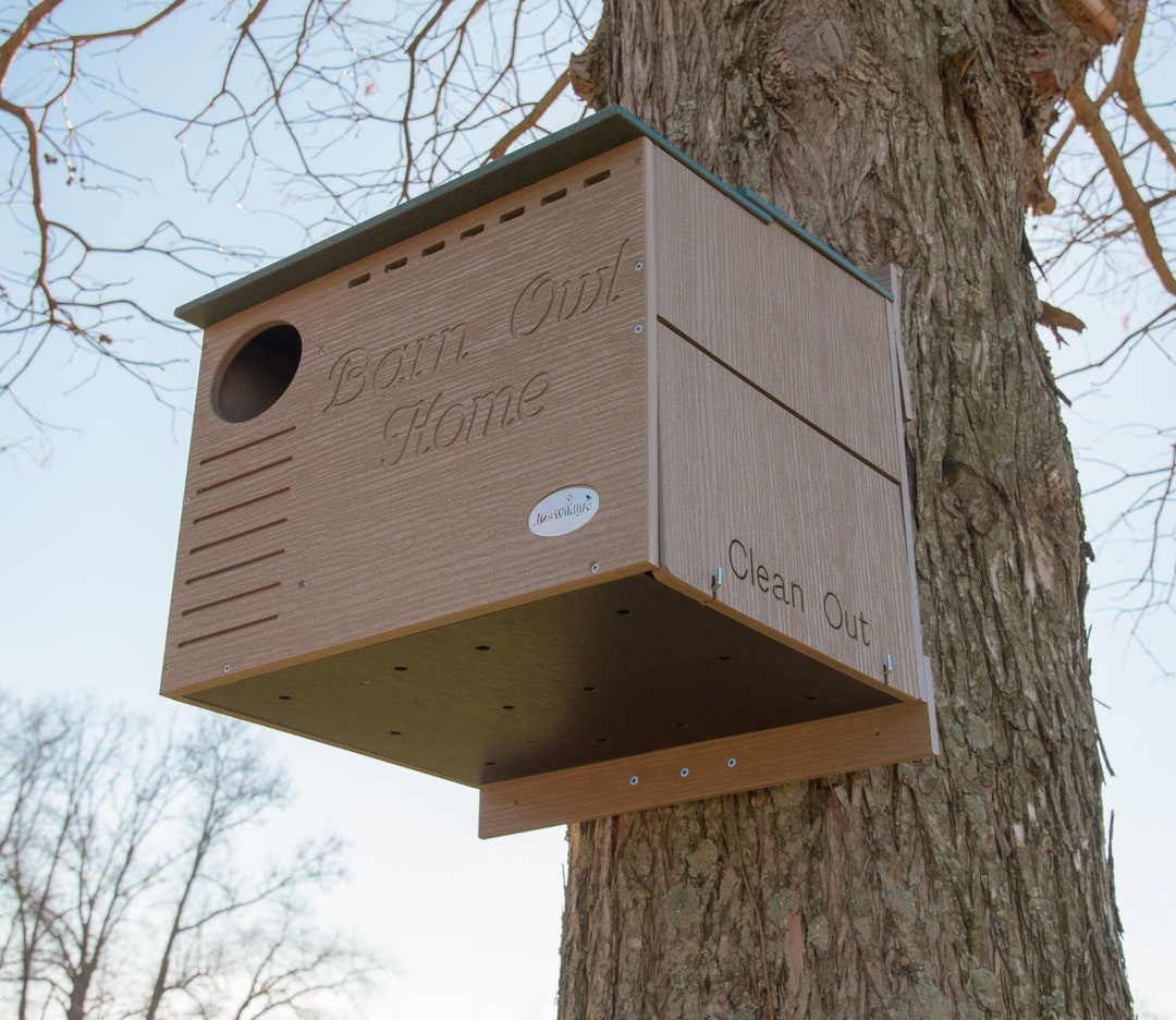 Jcs Wildlife Poly Barn Owl Nesting Box Made In The Usa Etsy