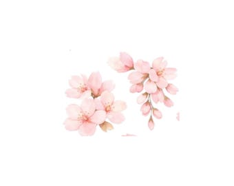Watercolor Sakura Clipart PNG, Cherry Blossom Flowers, Spring Floral ...