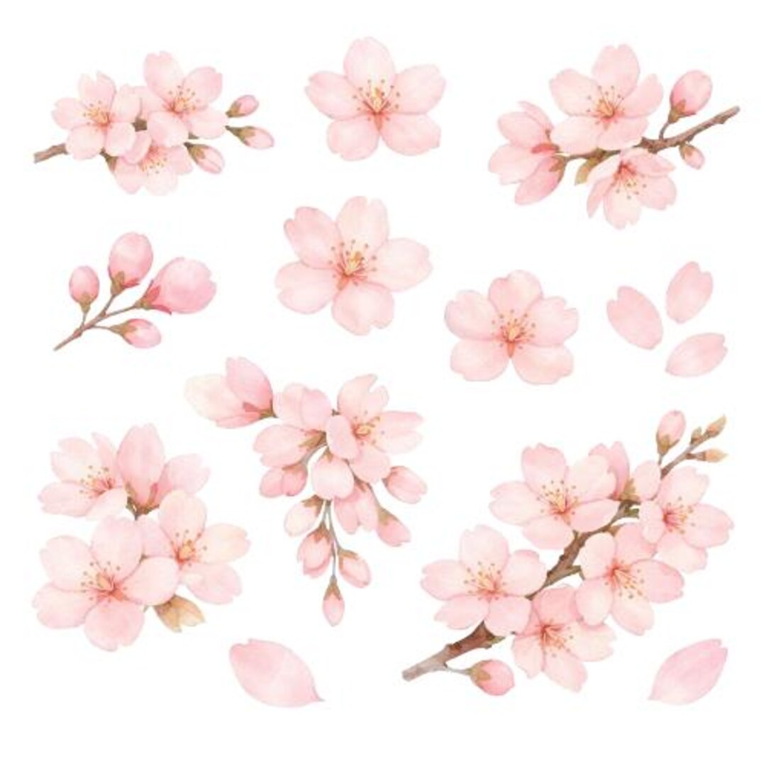 Watercolor Sakura Clipart PNG, Cherry Blossom Flowers, Spring Floral ...