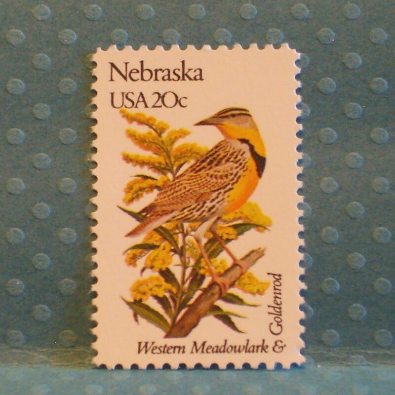 Western Address Stamp - Etsy