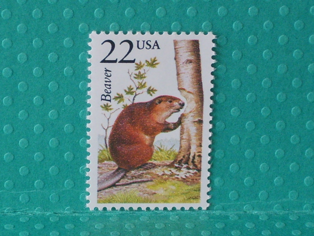 5 Vintage North American Wildlife Stamps - the Beaver - No. 2316 - Etsy