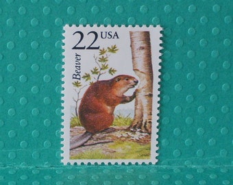 RedBeansnRice - Etsy