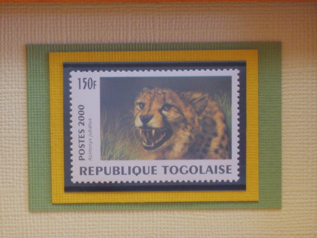Cheetah Framed Postage Stamp From the Republic of Togo - Etsy