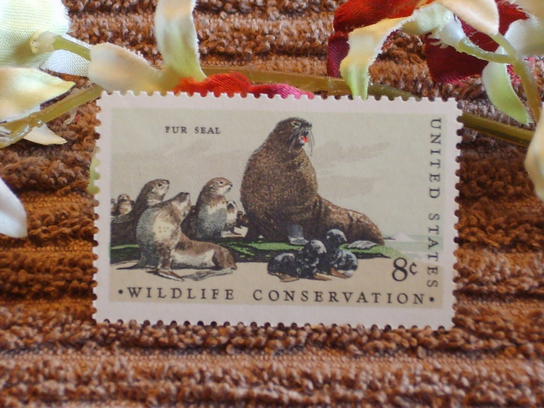 TEN - Vintage Unused Postage Stamps - Wildlife Conservation - Fur Seals ...