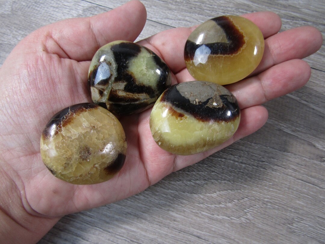 Septarian Barite Calcite Nodule Palm Stone E2 - Etsy