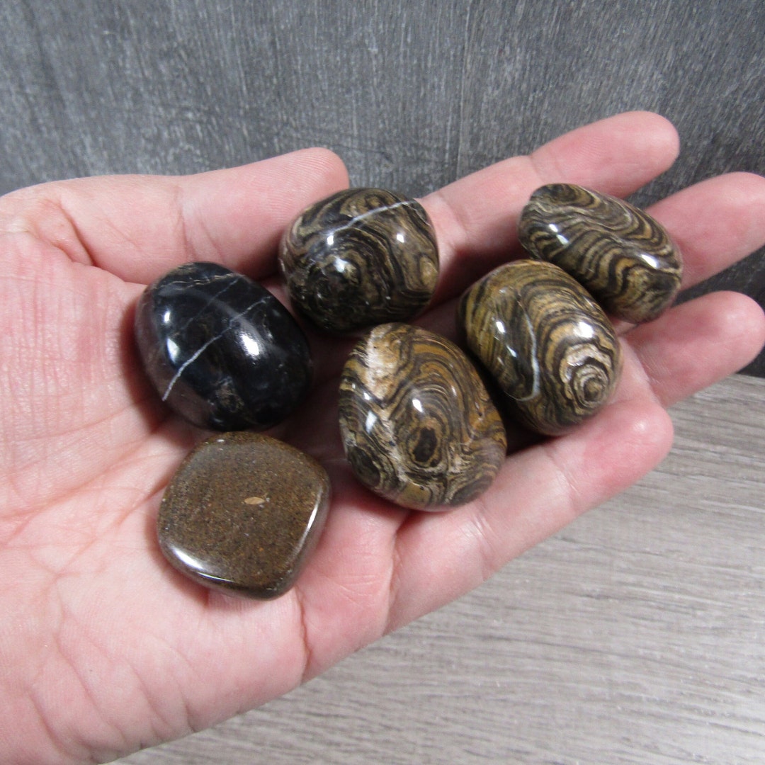 Stromatolite Tumbled Stone 1 Inch Crystal - Etsy