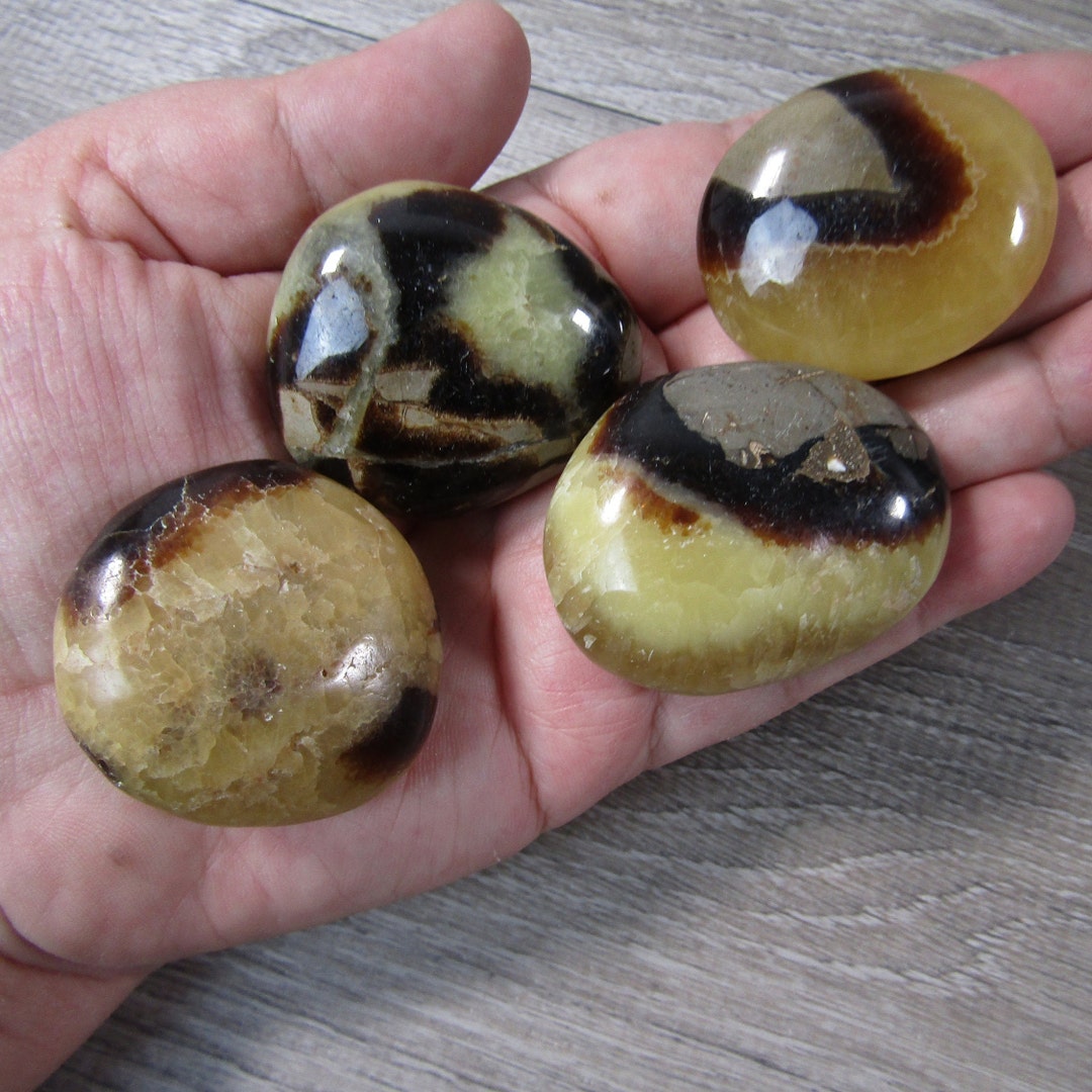 Septarian Barite Calcite Nodule Palm Stone E2 - Etsy