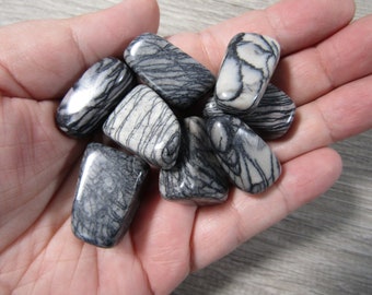 Spiderweb Jasper Stone 1/2in, White & Black Jasper for Gazing ...