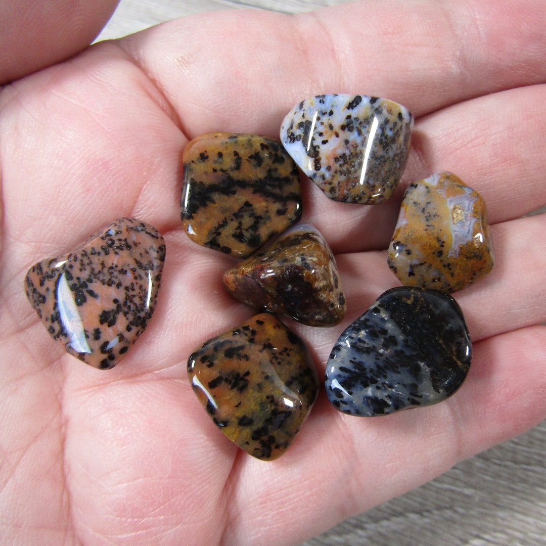 Cheetah Agate Tumbled Stone 0.5 Inch + Crystal - Etsy