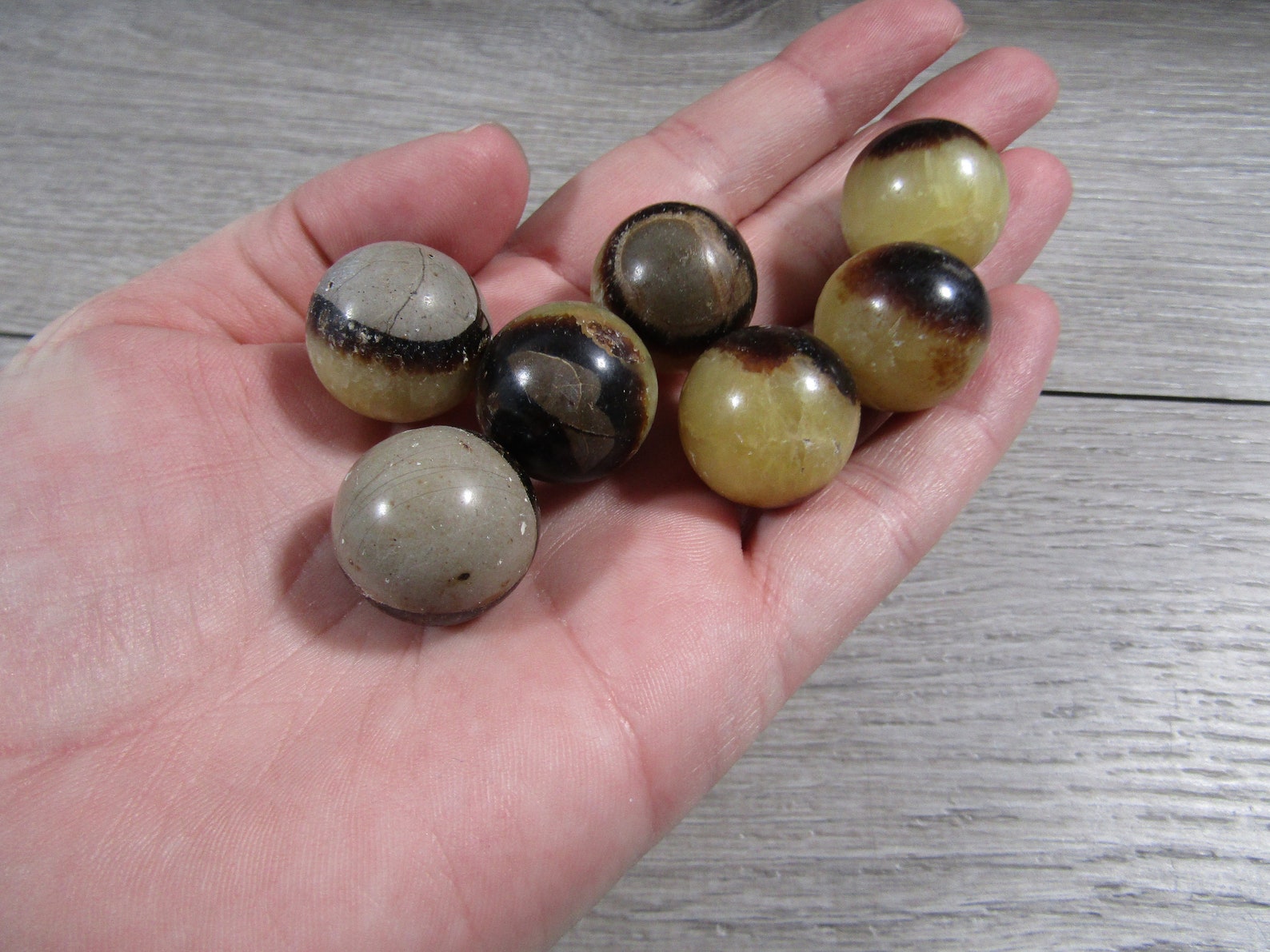 Septarian Nodule Calcite Barite 18 to 20 Mm Sphere S28 | Etsy