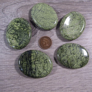 Green Brecciated Lizard Skin Jasper Worry Stone E3 - Etsy